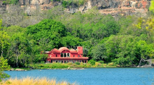 Ranthambore National Park | An Exquisite Haven for Nature Lovers
